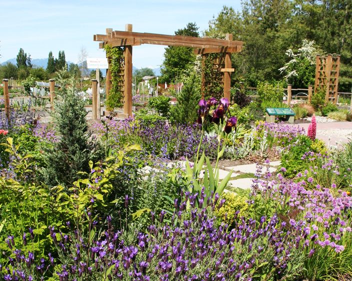 Waterwise Demonstration Garden