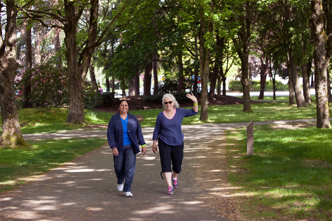 Minoru Park pathways